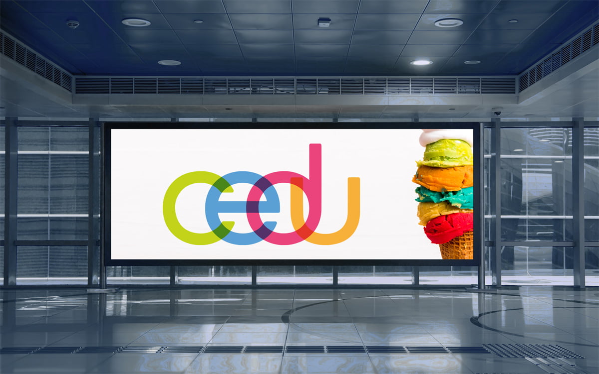 tria I portfolio: CEDU